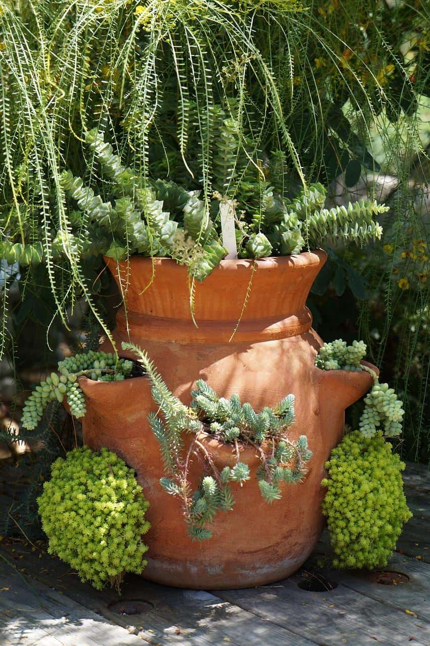 Shield Plants from the Sun With a Shade Container Garden - Properly Rooted