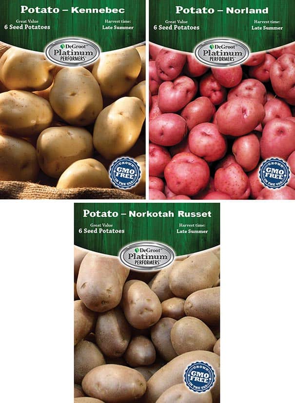 How to Grow Potatoes Indoors | Properly Rooted