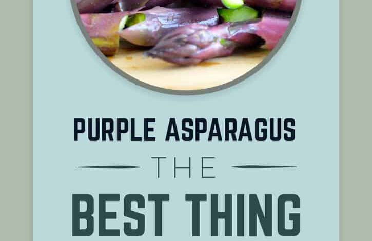 A Guide to Purple Asparagus | Properly Rooted
