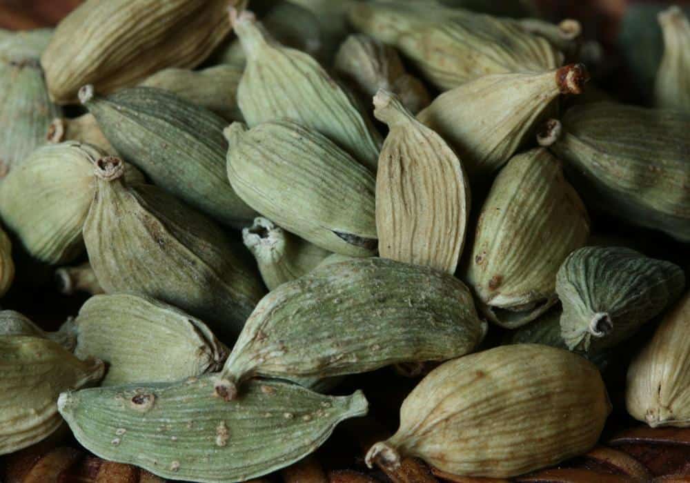 The Top Ways of Growing Cardamom | Properly Rooted