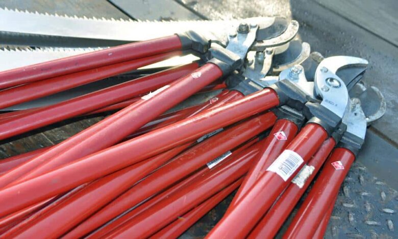 The Best Loppers To Tame Your Garden | Properly Rooted