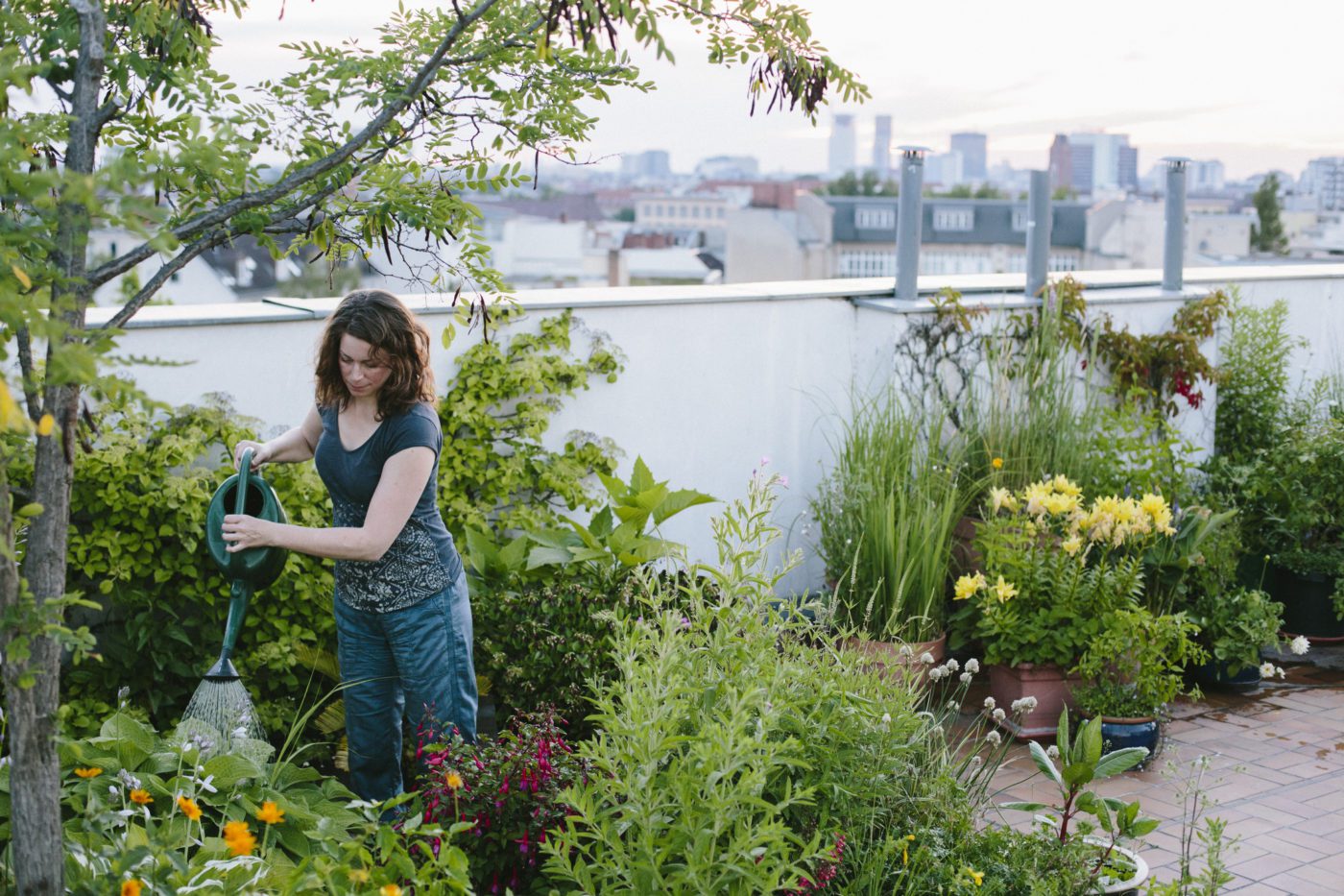 10 Easy Backyard Homestead Ideas | Properly Rooted